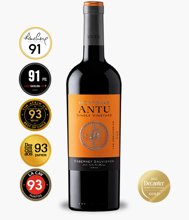 Antu Cabernet Sauvignon – pulkun.com